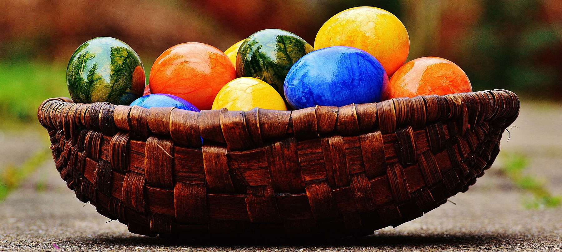 Oster-Infosammlung - Wildvogelhilfe.org